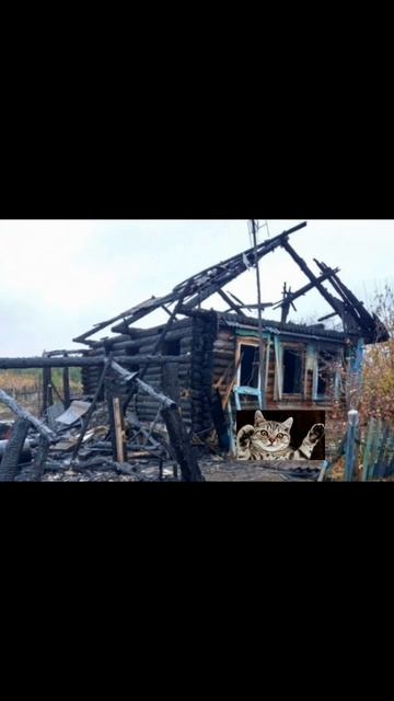 Пришёл из магазина...