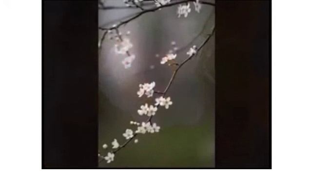 Обзор книги Т. Бродская в ОП, ч.03, автор и изд. С. Фрумович