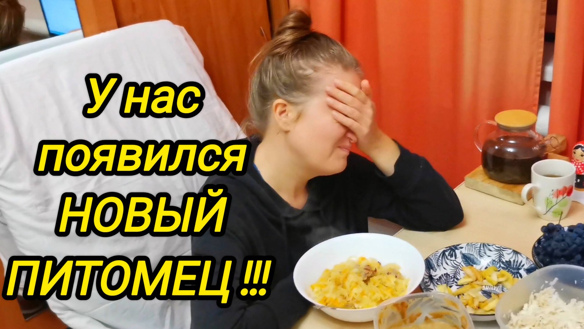 КУПИЛИ ДОМ В ДЕРЕВНЕ | У нас появился новый питомец | Дом в деревне | Семья в селе