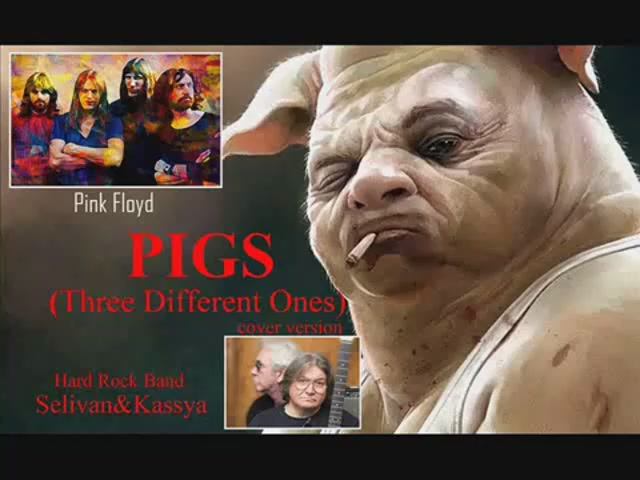 S&K_ Pigs Three Different Ones _cover_ Pink Floyd_