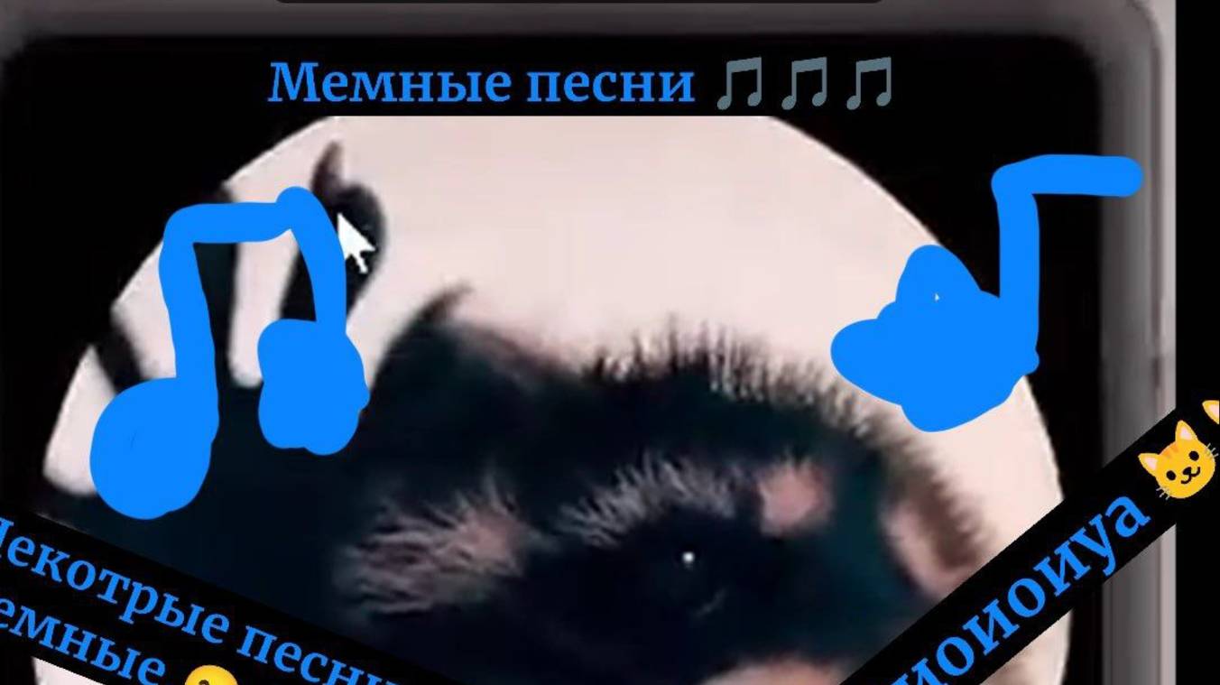 Отрывки мемных песен