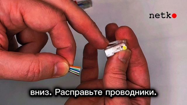 Коннектор RJ-45 (8p8c) cat.5е, для одножильного и многожильного кабеля (нож с 2-мя зубцами), Netko