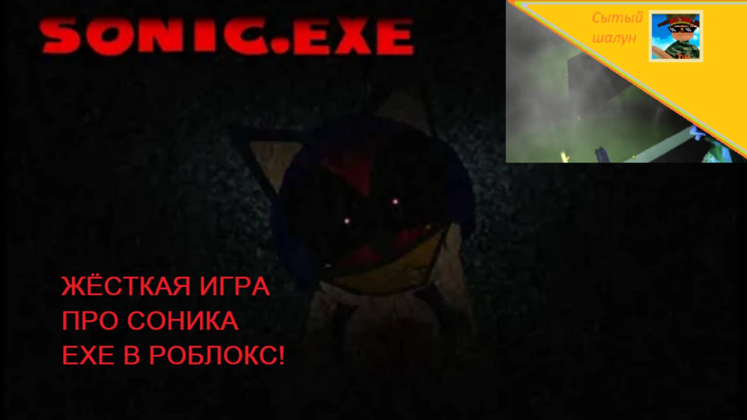 Соник ехе и Салли ехе в роблокс. ЖЁСТКАЯ КОШМАРНАЯ ИГРА!