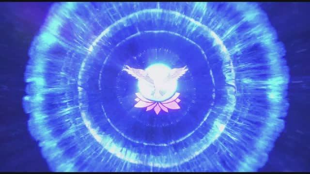 Всемирное движение «КАРТА МИРА»