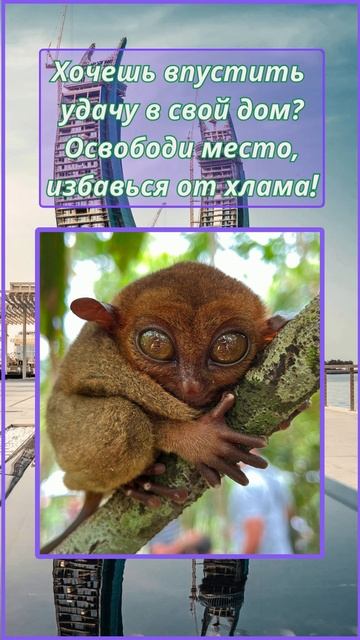 Как впустить удачу в дом!