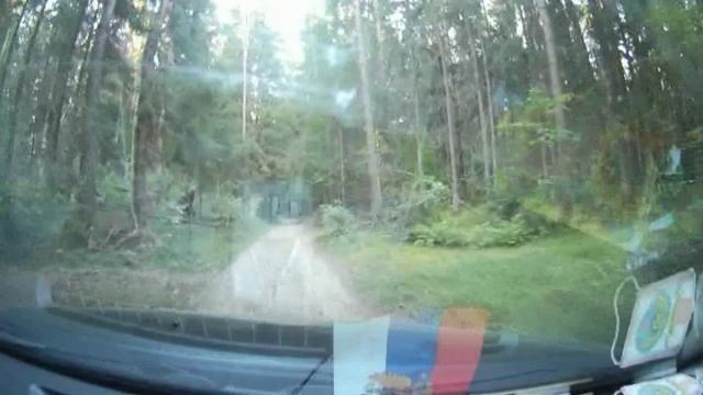 Песня Дар Любви