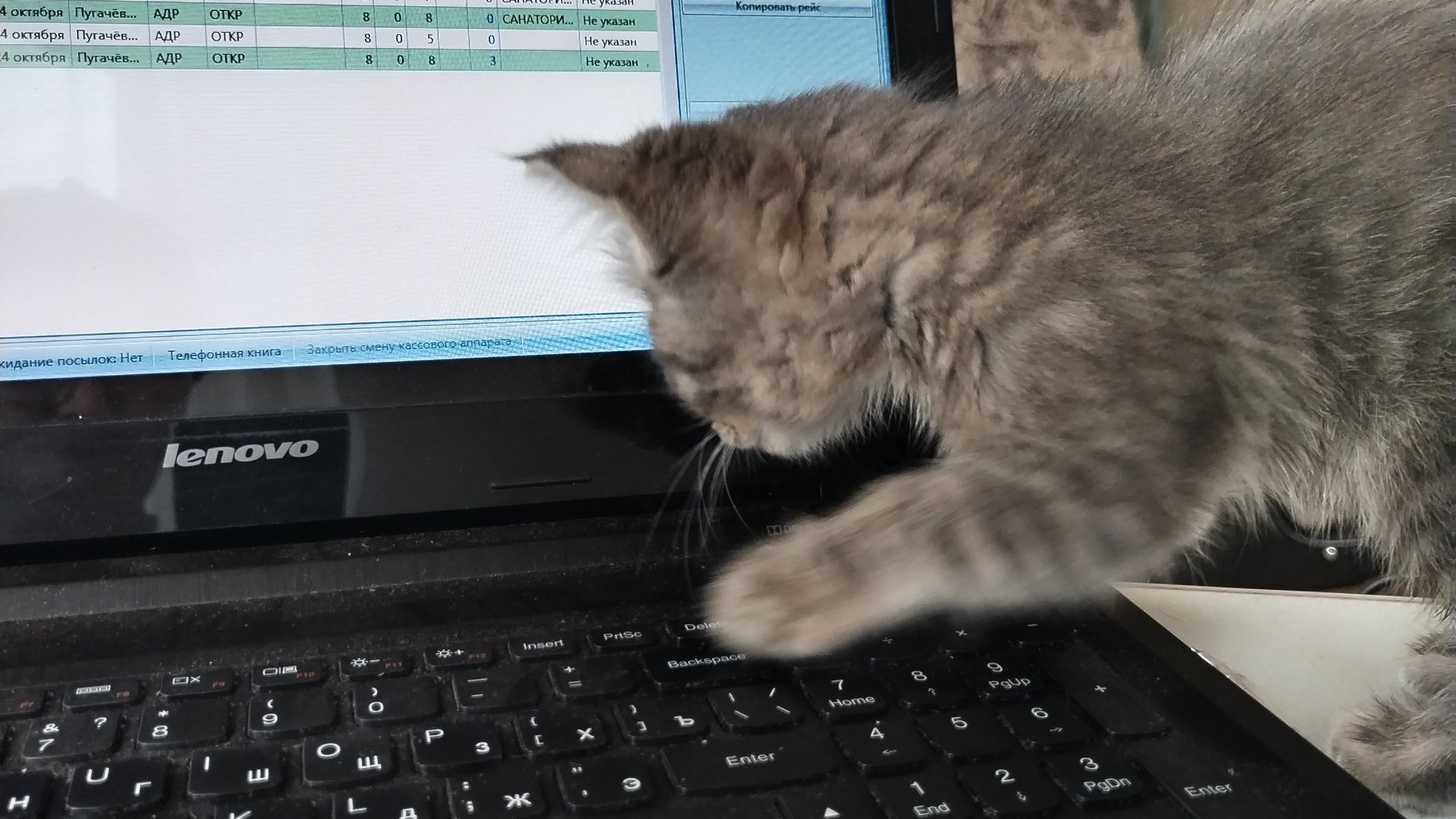 Влог 23-31.10.25 Всё коротко и понемногу!