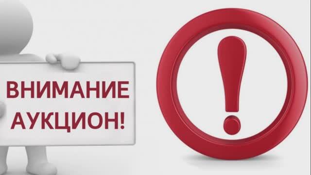 Внимание! Идёт аукцион!