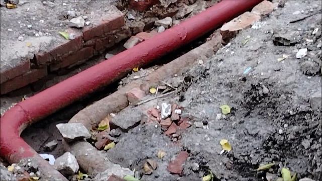 Никогда такого не было и вот опять