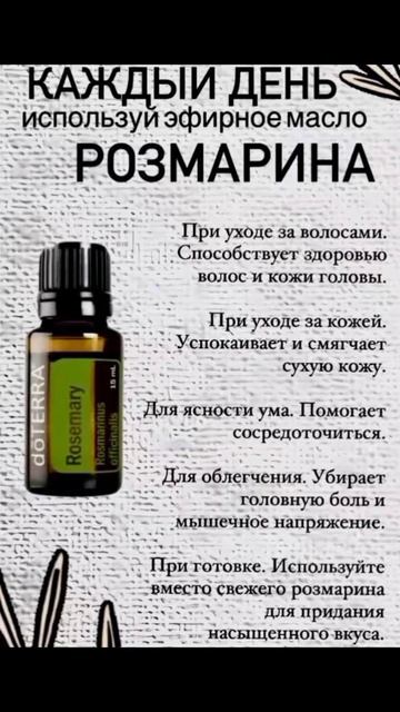 Эфирное масло розмарина #польза #эфирноемасло #katyboro #shortvideo #shorts #short #масло #здоровье