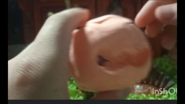 Хэлуинский фонарь тыква из воздушного пластилина