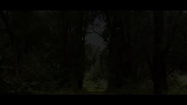 Гроза в лесу на дороге 🌧️ Спокойствие перед бурей для отдыха и сна