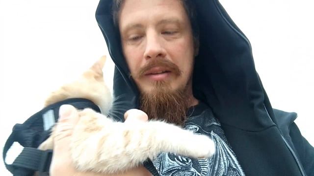 Демурзель Море