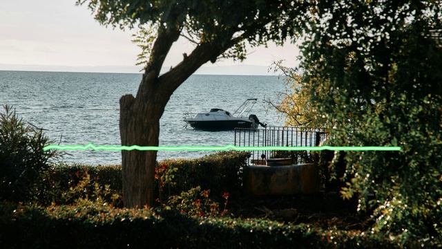 Патимат Пашаева и МагомедРасул Алиев Дуэт - Патриот 2025