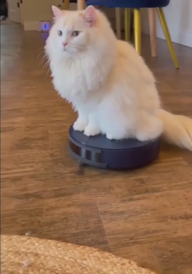 🤣 Кожаный... чых-пых... я покорил исскуственный интеллект... 🤣