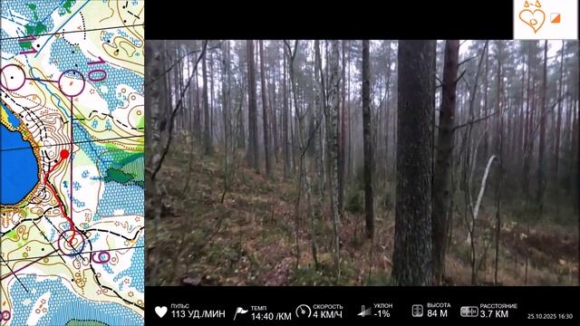 Кубок D2RUN, финал-гандикап. 2025-10-25