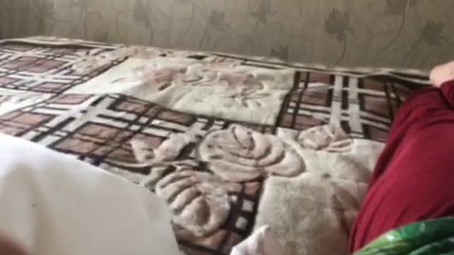 "Они"  не должны контактировать с людьми. Предупреждение ⚠️.