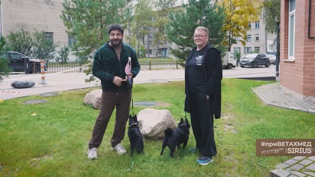 Содержание шипперке // #приВЕТАХМЕД