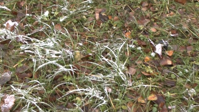 1 Аркадий Рахманинов. Вечерний звон. Дмитрий Степанович