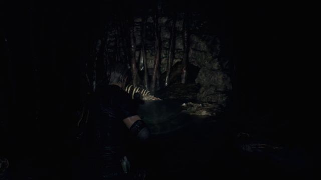 Resident Evil 4 , семнадцатое  прохождение .