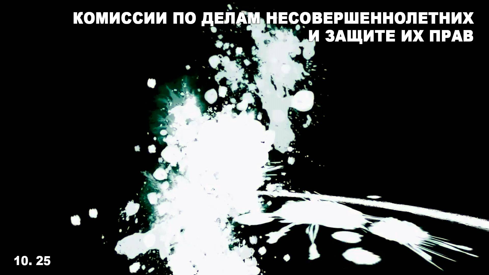 Комиссия по делам несовершеннолетних и защите их прав