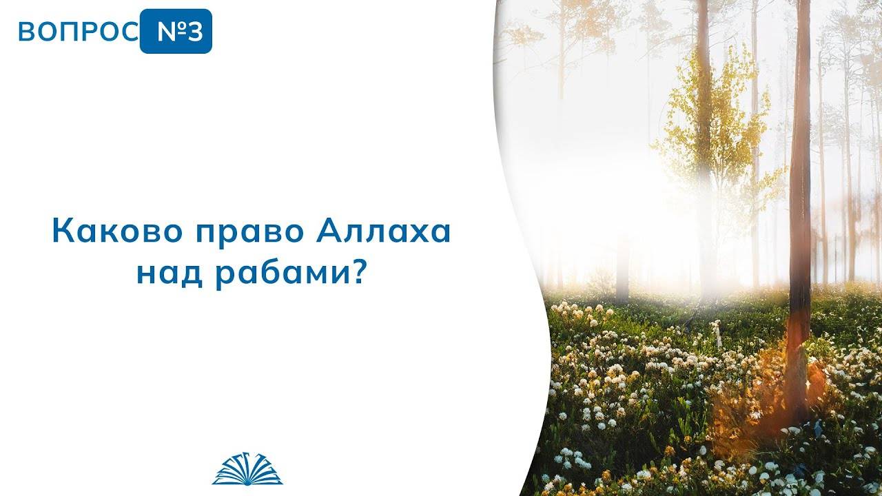 Вопрос № 3. Каково право Аллаха над рабами? | Абу Яхья Крымский