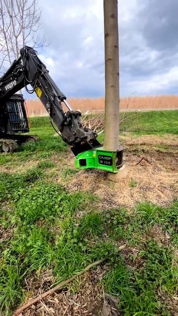 🟢 BI300 Лесные валочные ножницы @OMEFGROUP на экскаваторы 7-18тн