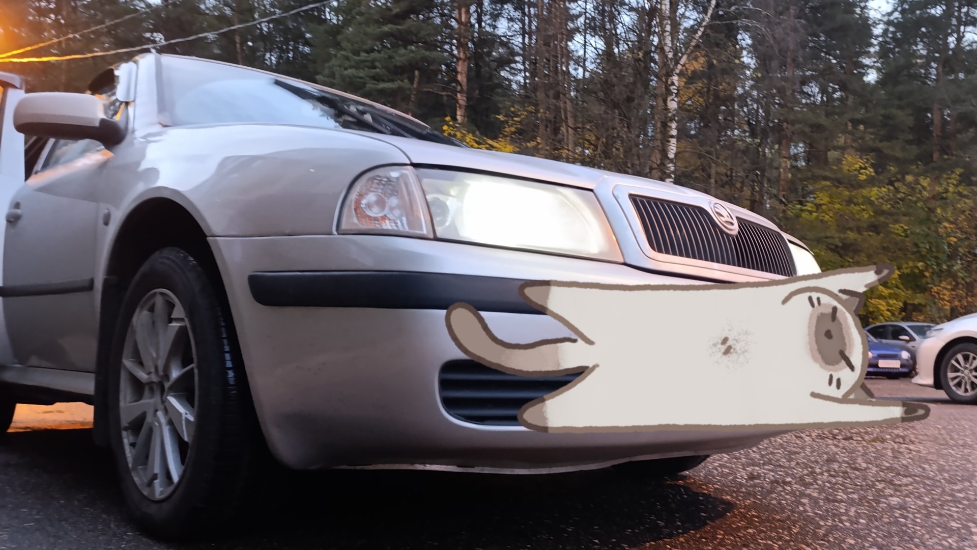 Обзор на Skoda Octavia 4a ну и конечно же поездочка.