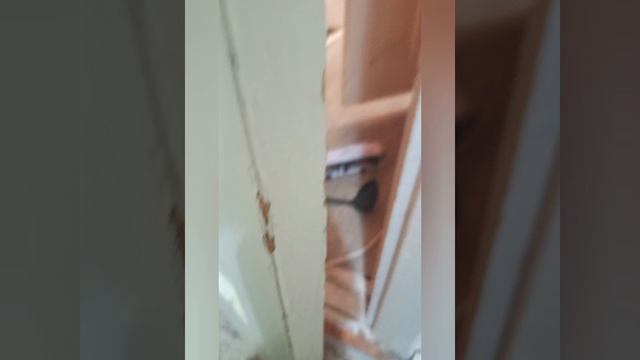 ГРЕННИ И ГРЕНДПА ПРЕСЛЕДУЮТ НАС! ДОМ ГРЕННИ В РЕАЛЬНОЙ ЖИЗНИ (ЧАСТЬ 3)