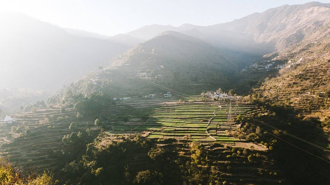 Парк в Индии