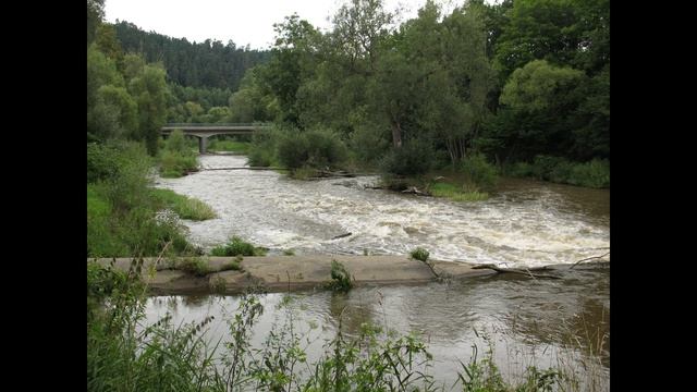 Litschau,Primmersdorf  5 августа 2009