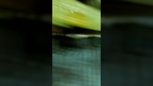 Селятино приключение Ромы и Маши 8 серия про магазин для детей и взрослых