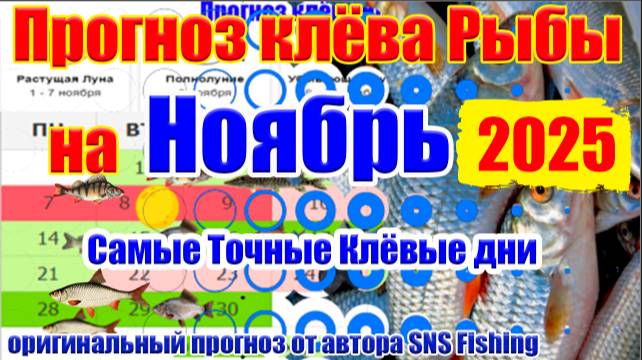 Прогноз клева рыбы Ноябрь 2025 Лунный Календарь рыбы