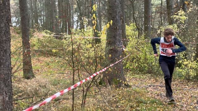 Соревнование по кроссу стипль-чез "Шустрые зайцы", 2025-10-19