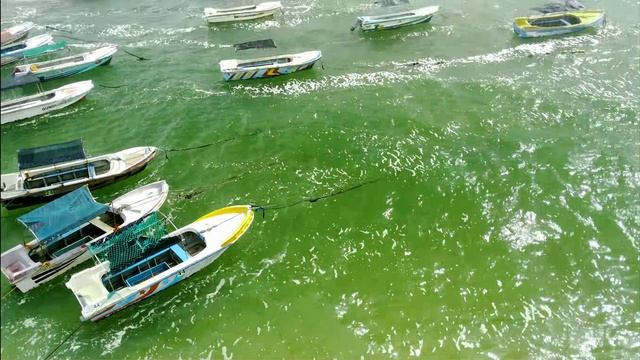 Шри Ланка, пляж Secret Beach с дрона