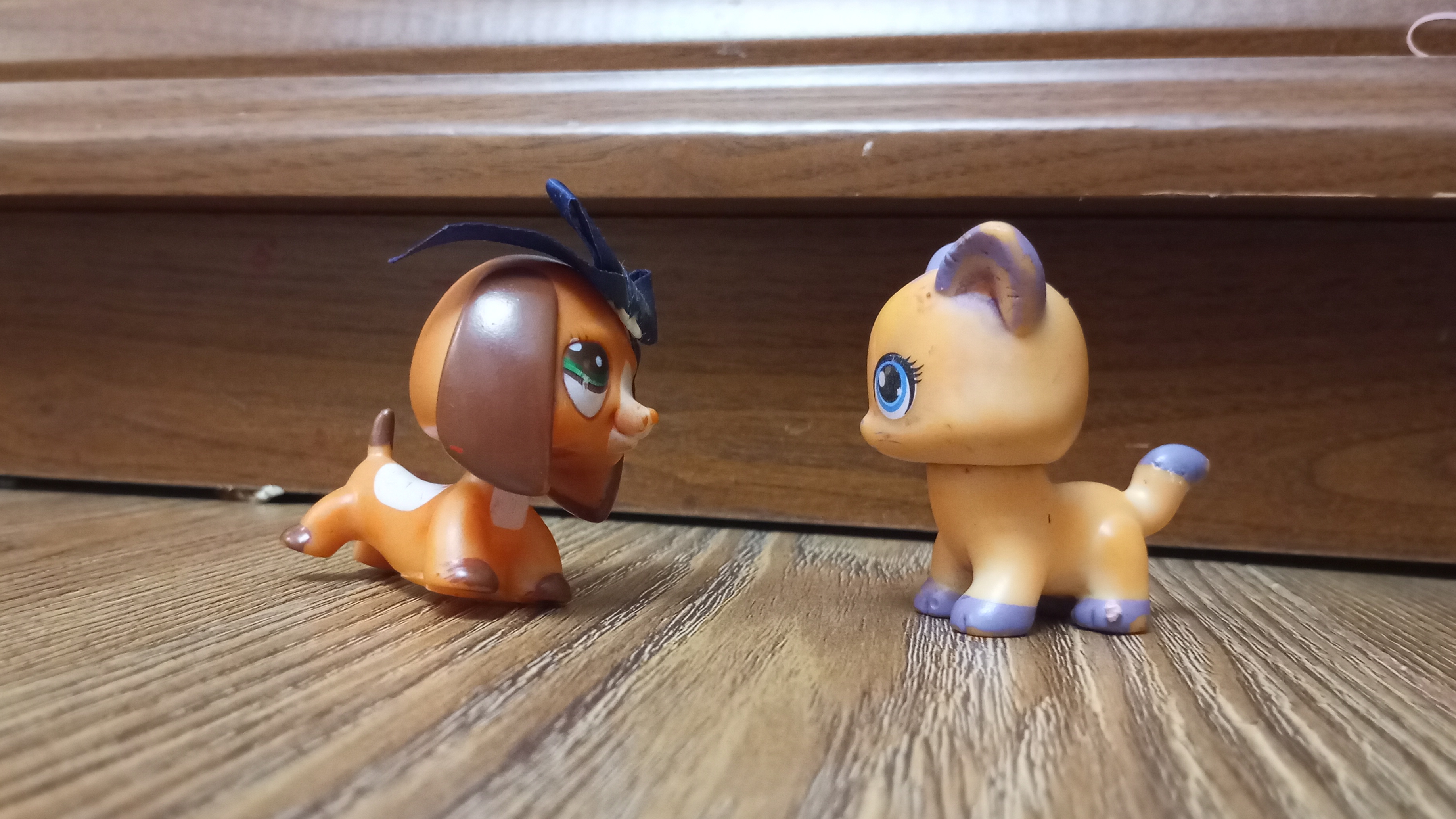 лпс популяр эпизод 12