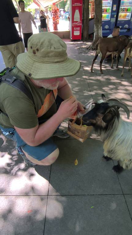 Кормим зверюшек в Lehe Ledu