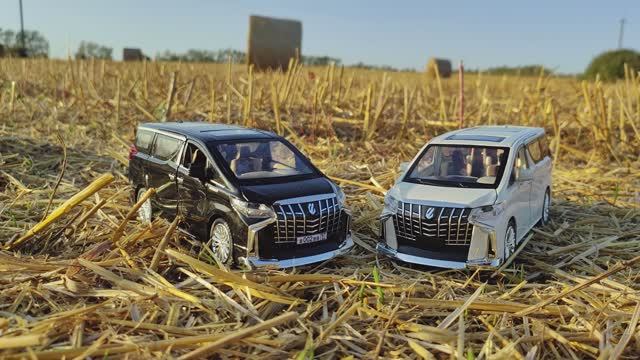 Сравнение моделей  Toyota Alphard третьего поколения в масштабе 1:24 от Che Zhi.