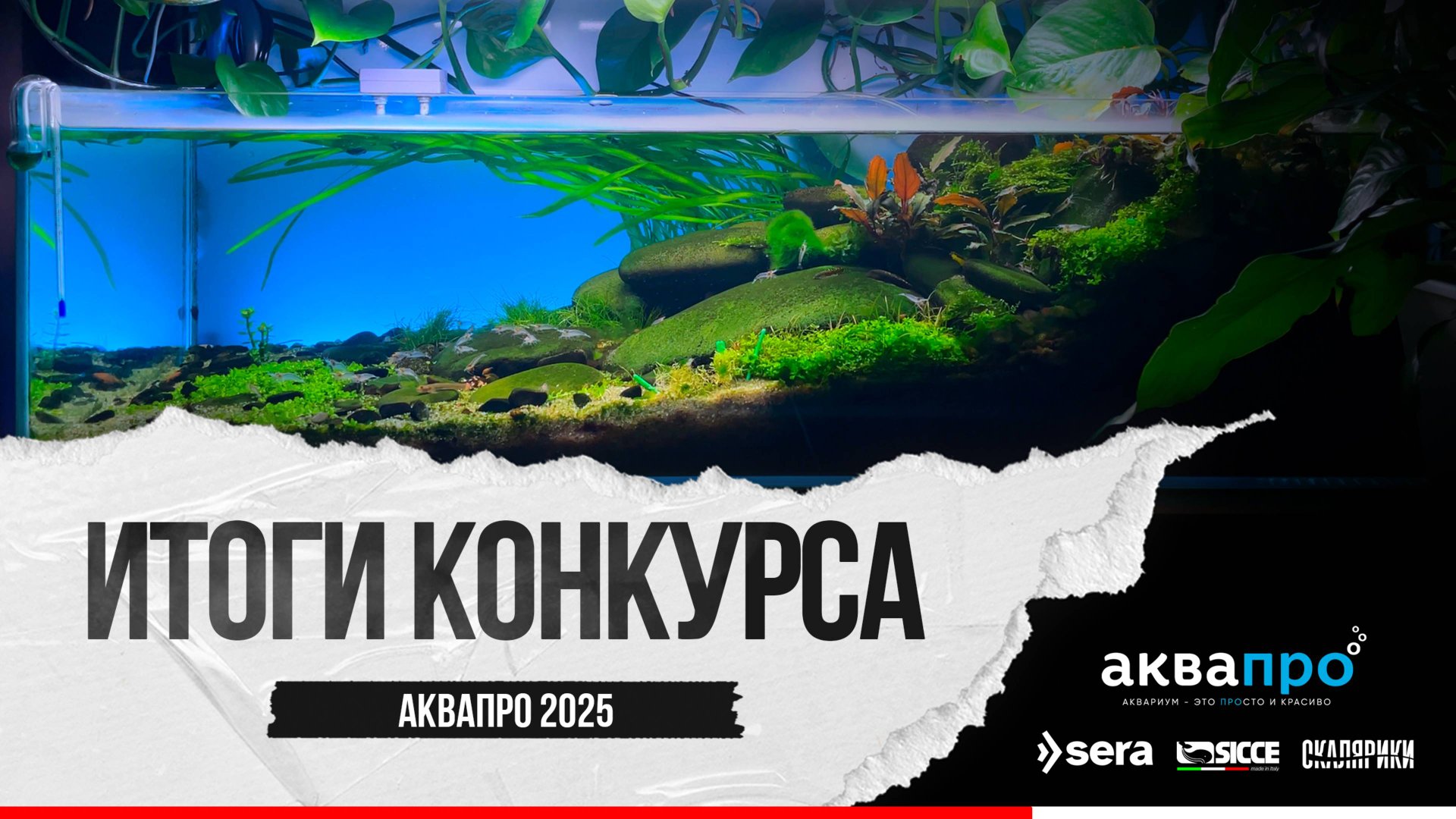 Итоги АкваПро 2025 - Домашний аквариум