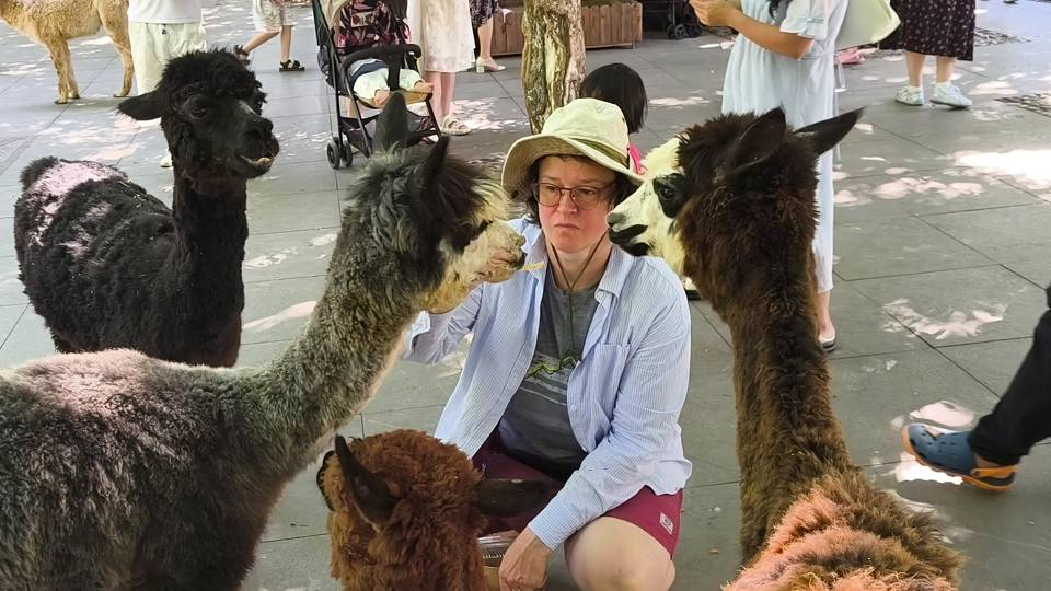 Кормление животных в парке Lehe Ledu