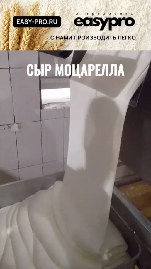 © EASYPRO - пластичность сыра моцарелла.
