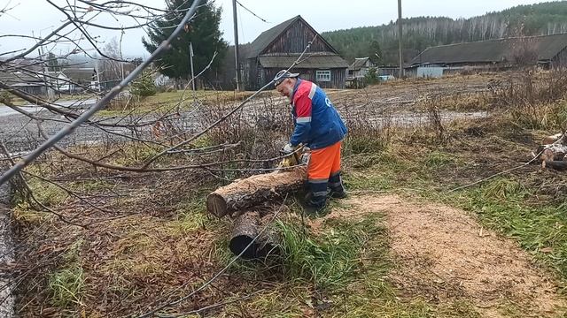 Ясень, готовлю доски из ясеня для изготовления сундука.