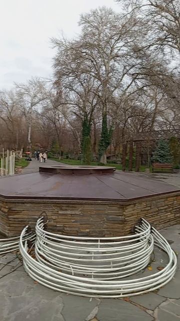 Парк Лога, г Каменск-Шахтинский #отдых #путешествие #прогулка #шортс #реелс #топ #тренд #тренды