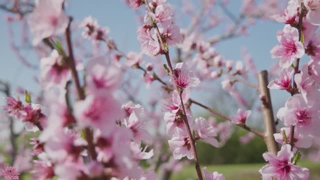 Расслабляющая музыка — тихий путь к душевному спокойствию и свету внутри
