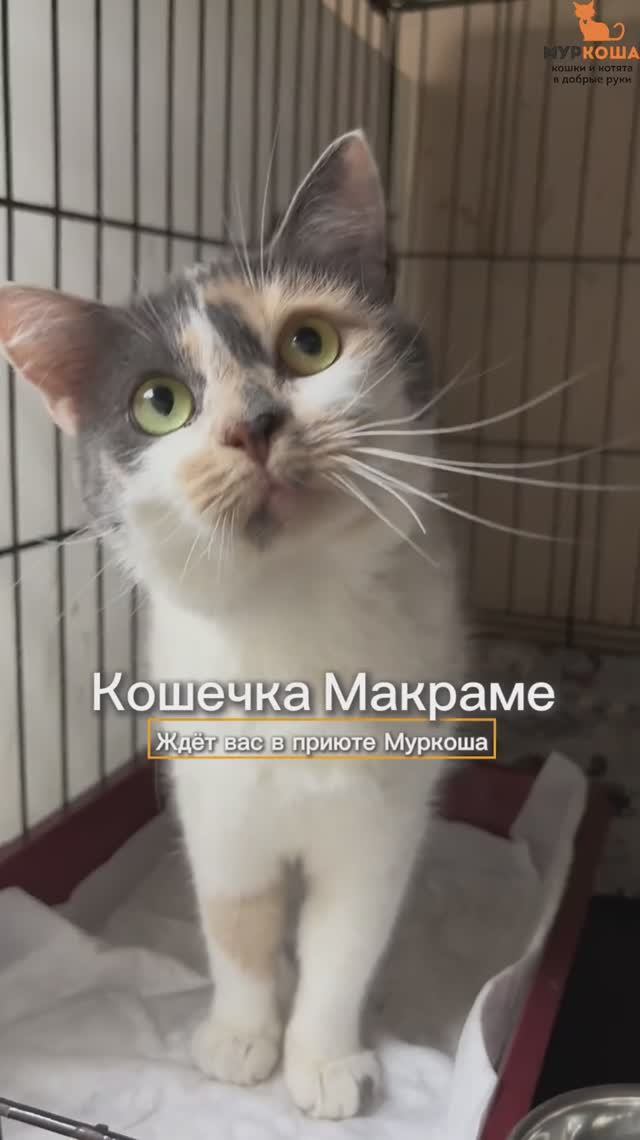 Макраме (уже дома)