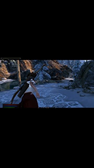 #Skyrim. Женская анимация спринта!