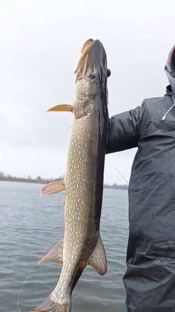 База отдыха «Щукино»: осенний сезон продолжается