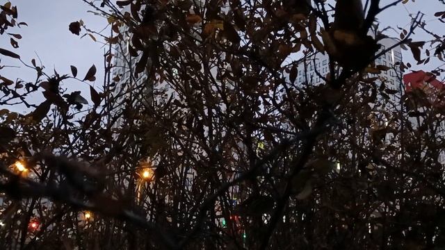 Дима Билан. Песня про паучка