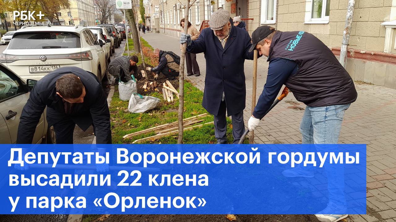 Депутаты Воронежской гордумы высадили 22 клена у парка «Орленок»