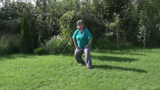 Шаг Тайцзи, продолжение